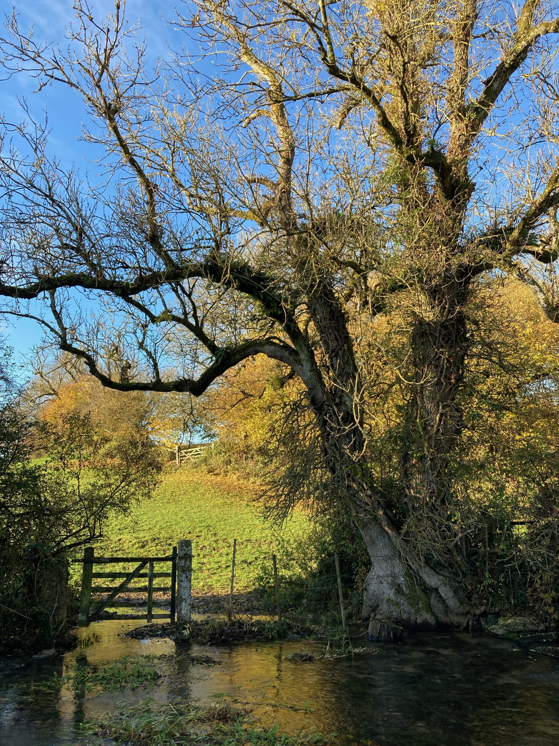 What's in a name? - Burton in Wiltshire